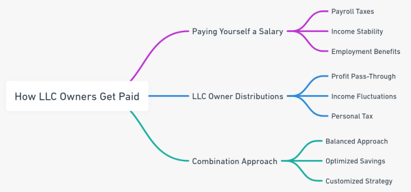 How LLC Owners Get Paid: Salaries, Distributions and Combinations | LawInc