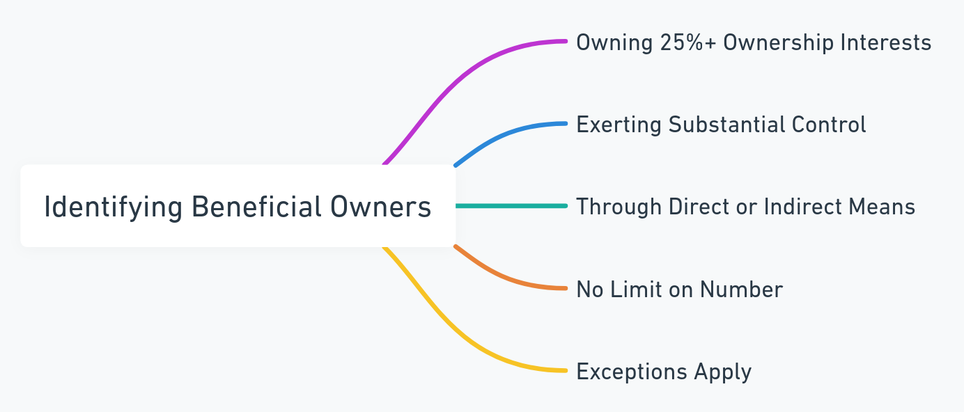 2024's New Corporate Transparency Law: What Every Business Must Know ...